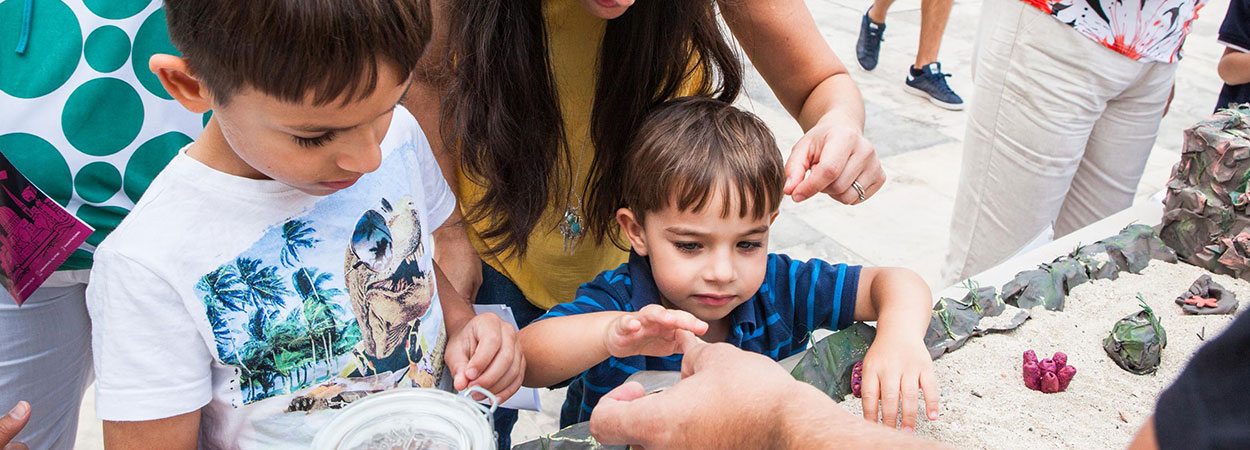 Family Fun at Science in the City - Newspoint - University of Malta
