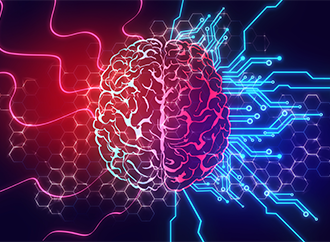 Are the boundaries of the brain sharp or smooth? - Newspoint ...