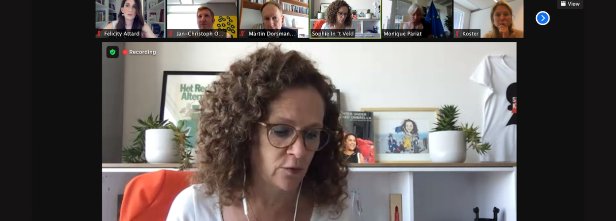 Law academic addresses EU Parliament Webinar - Newspoint - University ...