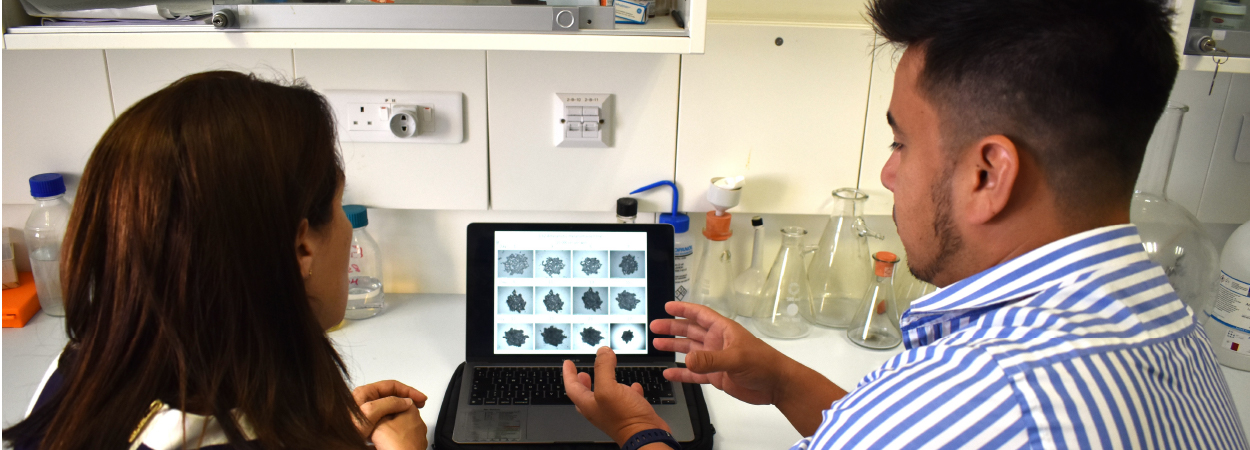 CANTEST-3D: Testing of the effectiveness of a Bioactive agent as a ...