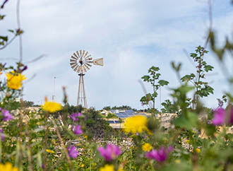 The Maltese environment and health - Newspoint - University of Malta