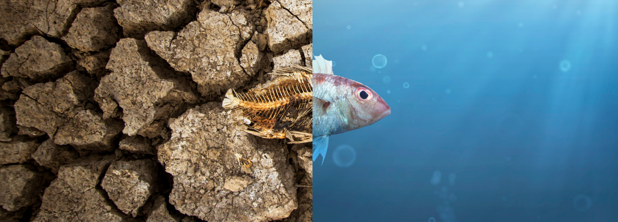 An expert’s take on the code-red level status of climate change for ...