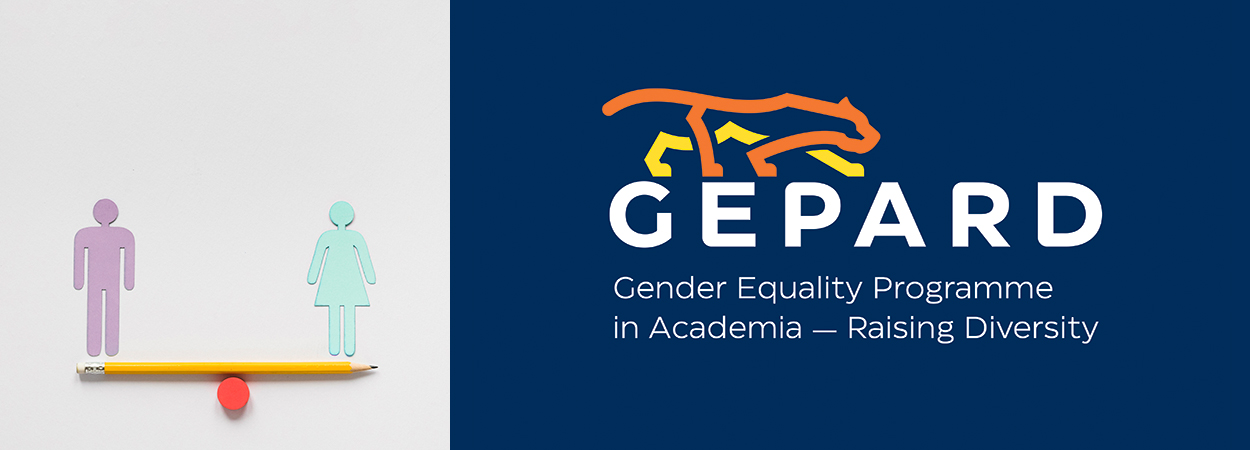 Team from UM attends GEPARD Project first transnational meeting ...