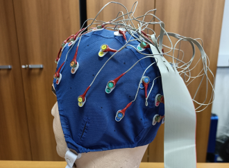 BrainCon – Stabilising the decoding of brain signals - Newspoint ...