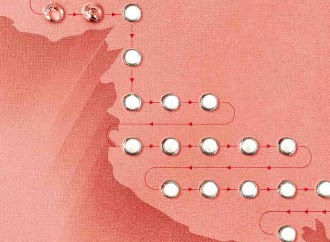 The Good, the Bad and the Ugly: The Contraceptive Pill, Reproductive ...