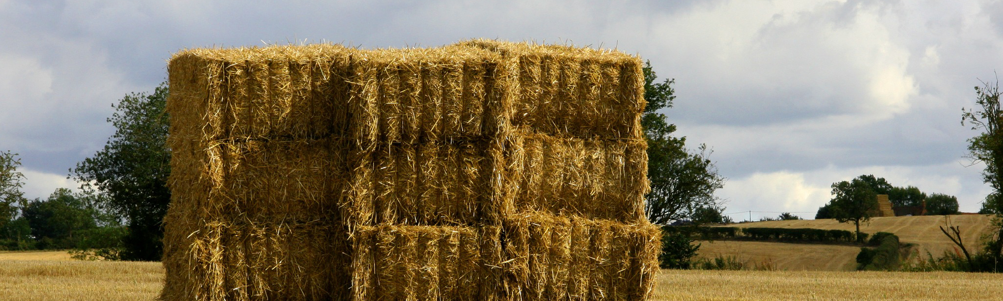 Looking for a needle in a haystack! - L-Università ta' Malta