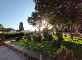 Faculties housed at Mater Dei temporarily relocated to Msida campus ...