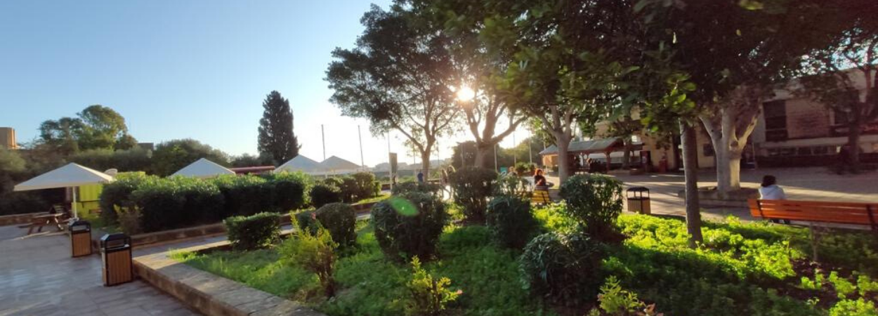 Faculties housed at Mater Dei temporarily relocated to Msida campus ...