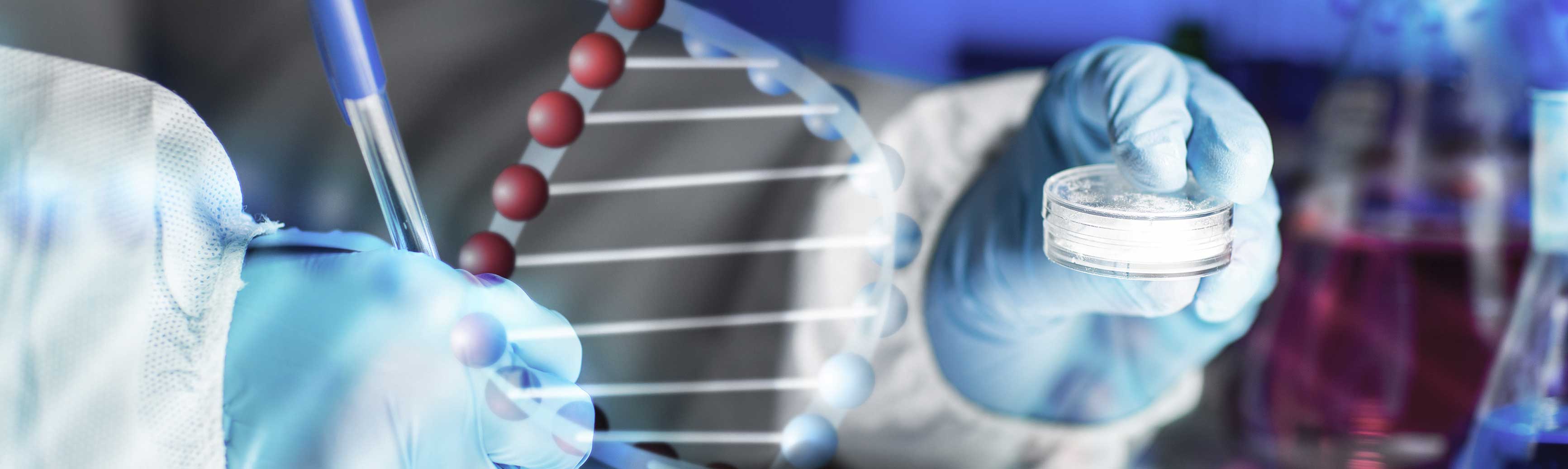 Our research - Department of Applied Biomedical Science - L-Università ...