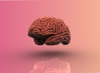 Maltese academics hosting two special issues on brain pathophysiology ...